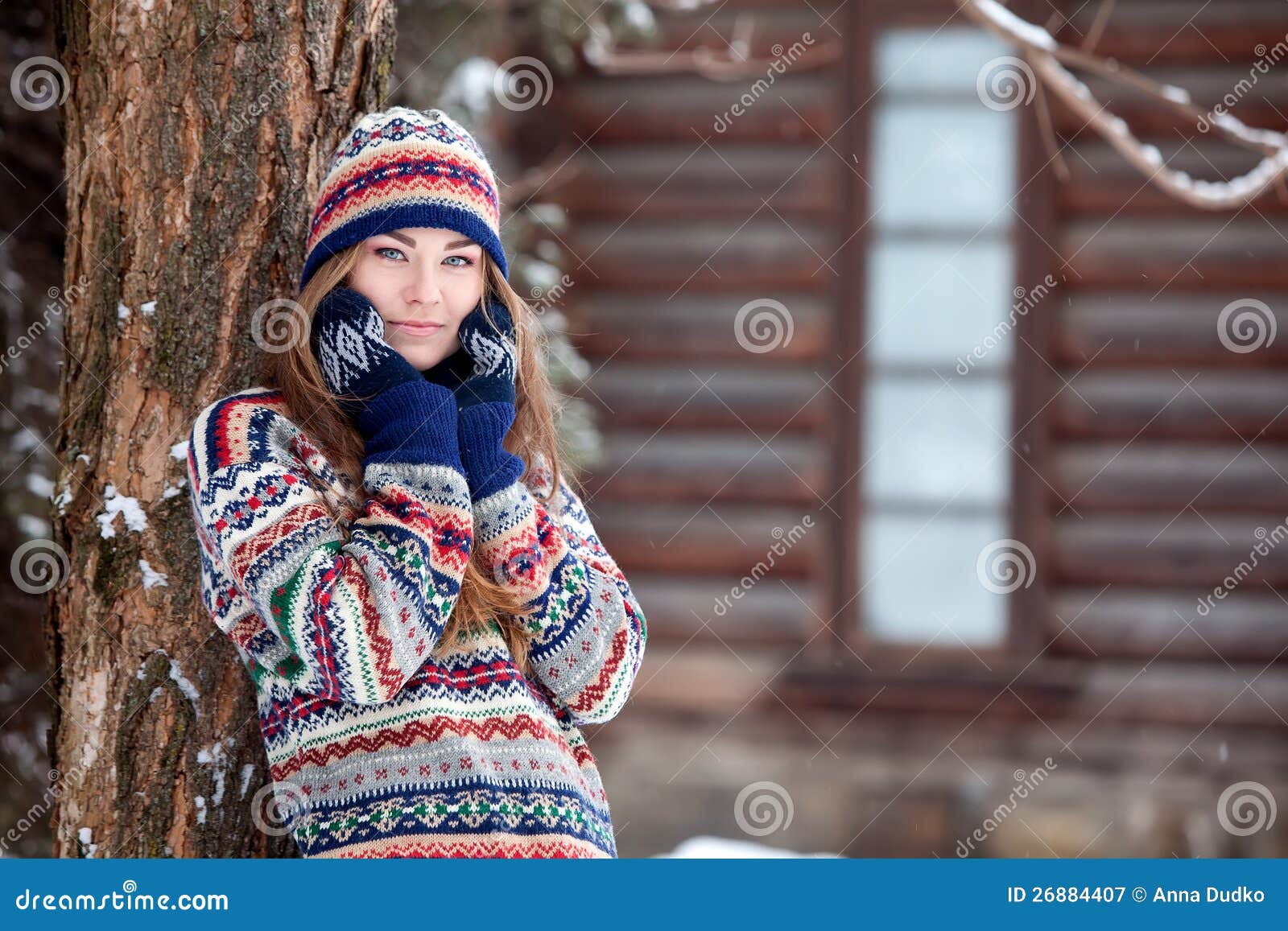 Winter stock image. Image of female, adult, portrait - 26884407