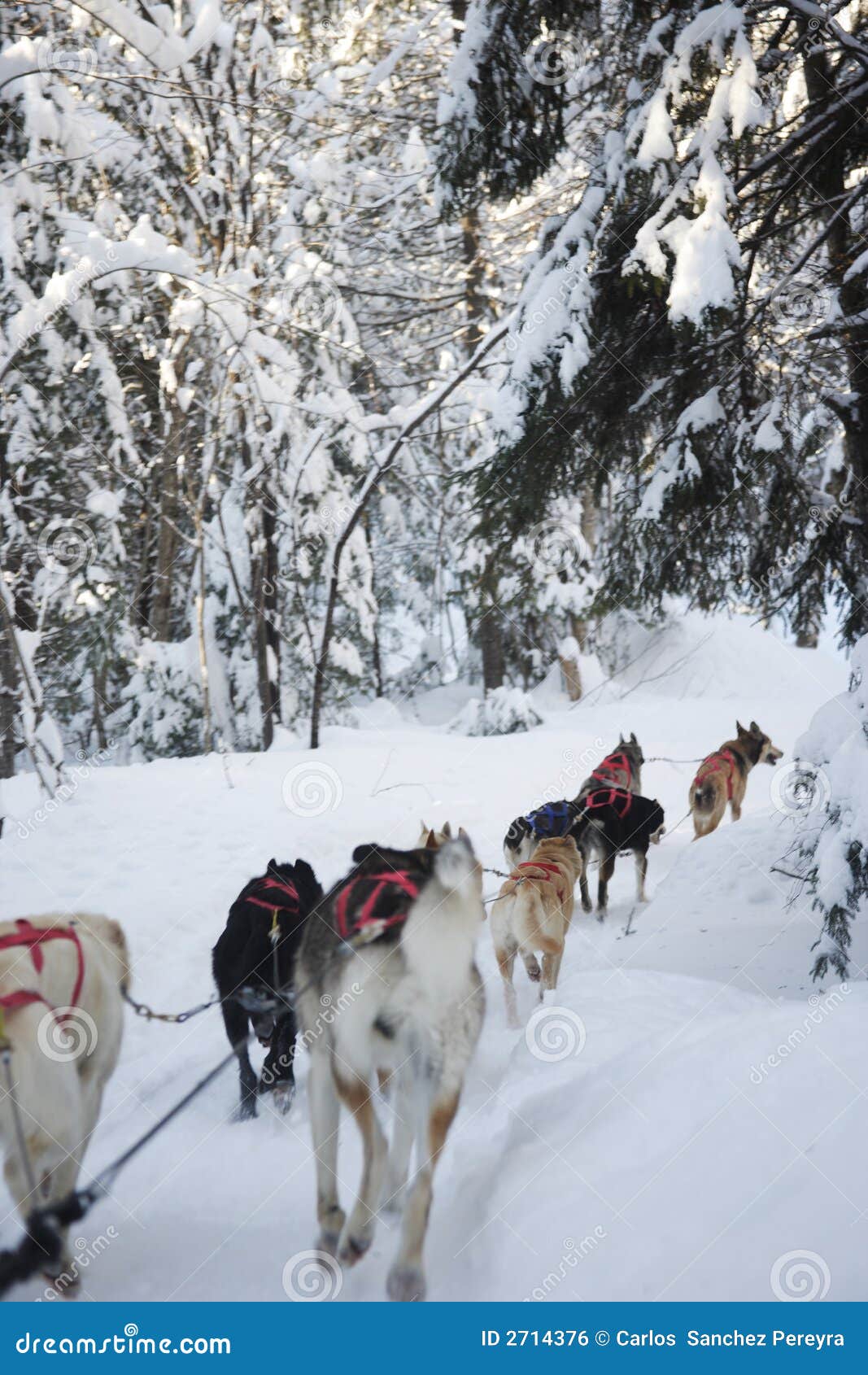 Winter stock photo. Image of travel, country, transportation - 2714376