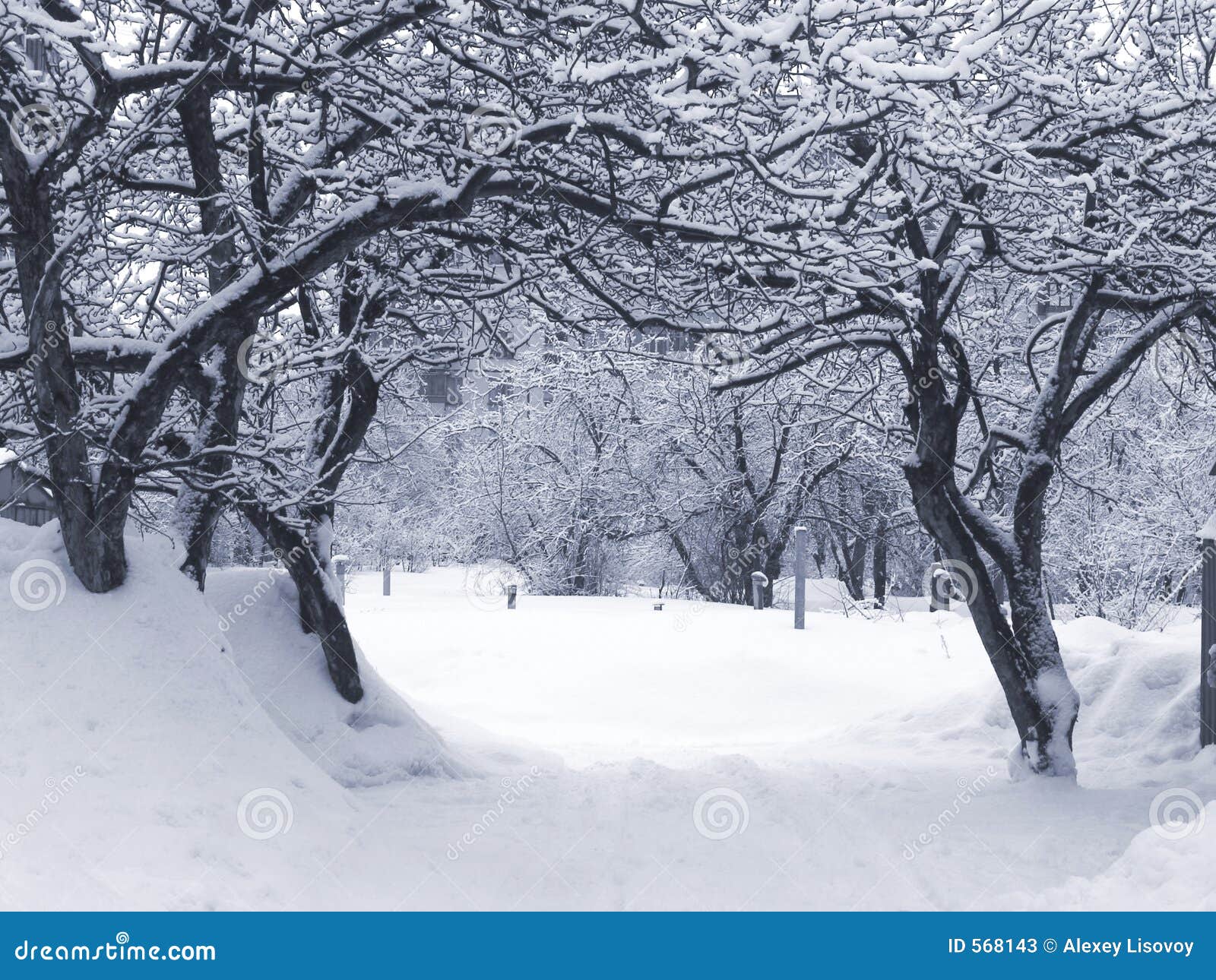 Winter 3 stock image. Image of footpath, snow, holiday - 568143