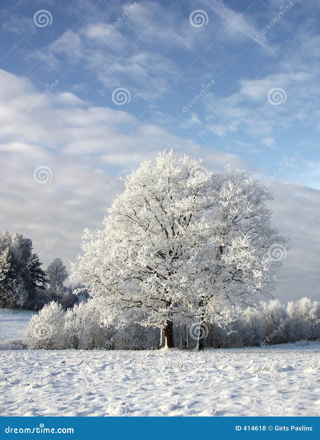 Winter stock photo. Image of decoration, festive, fire - 414618