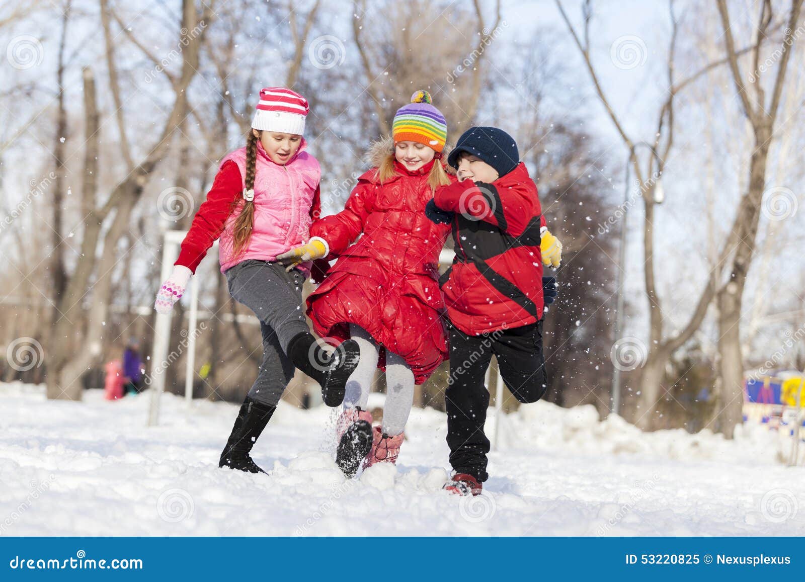 Winter activities stock image. Image of cold, walker - 53220825