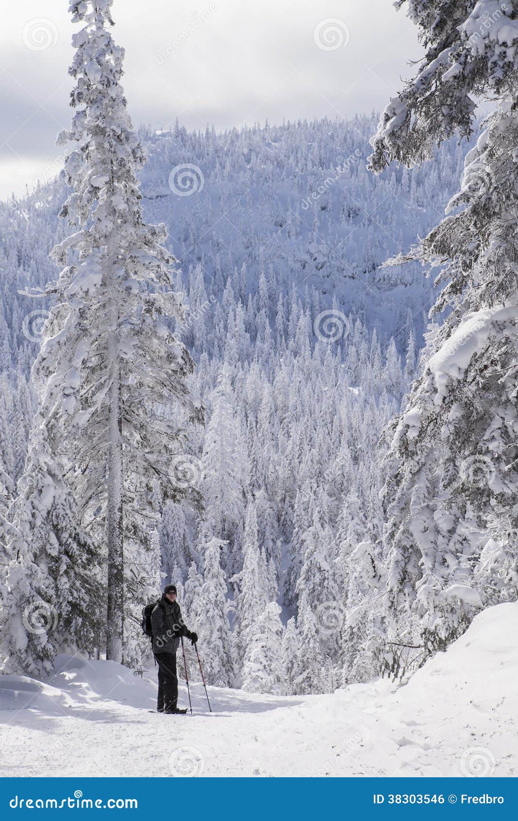 Winter activity stock photo. Image of activity, december - 38303546