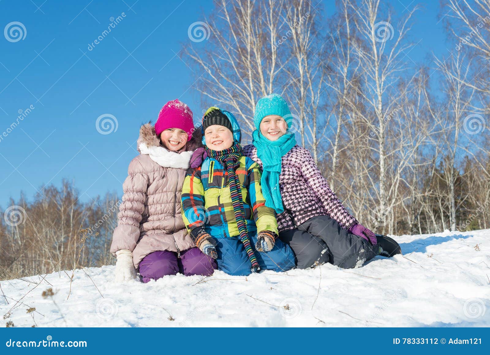 Winter activity stock photo. Image of brother, adorable - 78333112