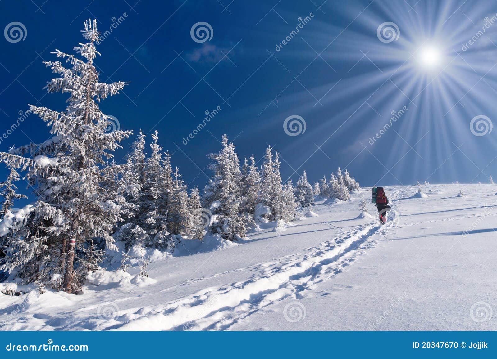 Winter adventure stock photo. Image of beam, outdoor - 20347670