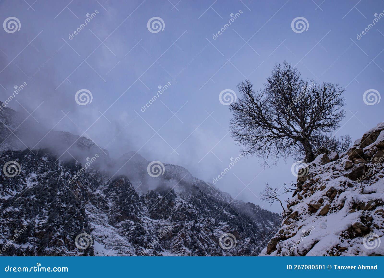 Winter Adventure Mountain with Full of Snow Wallpaper Stock Image ...