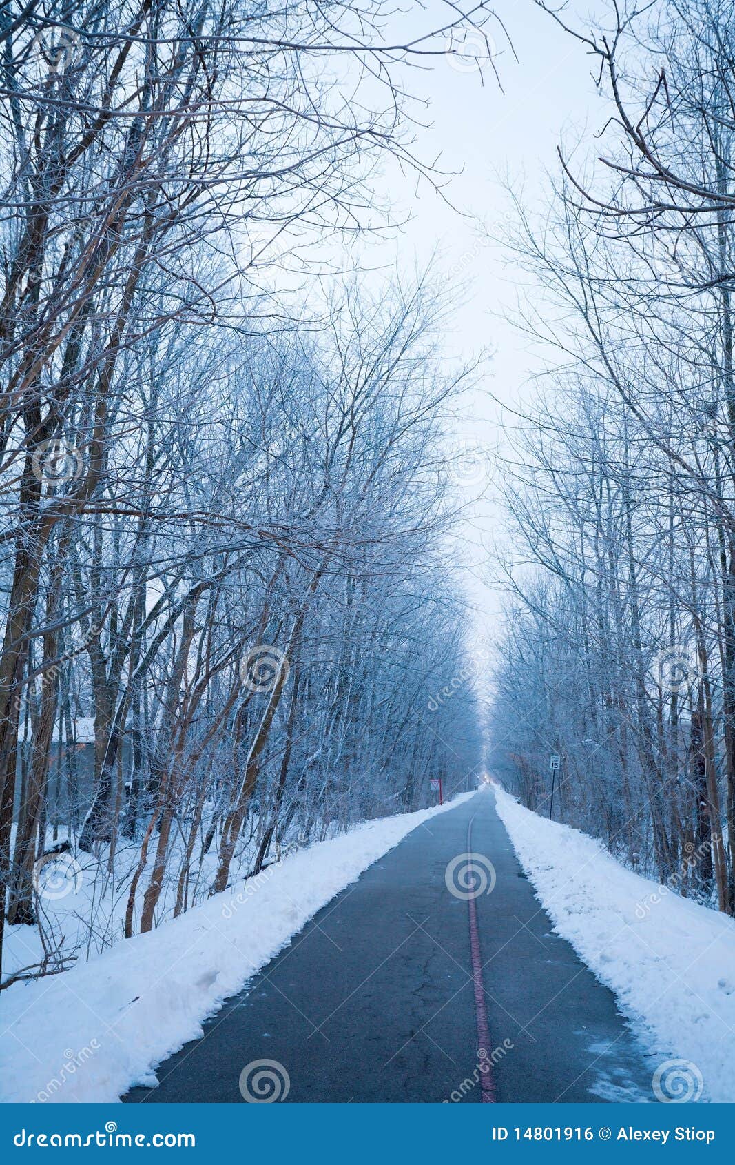 Winter alley stock photo. Image of alley, season, countryside - 14801916