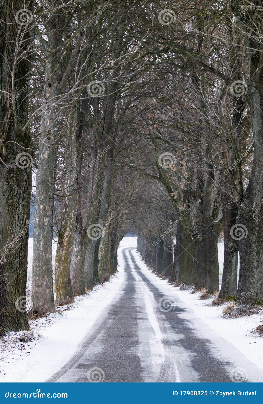 Winter alley stock image. Image of travel, landscape - 17968825