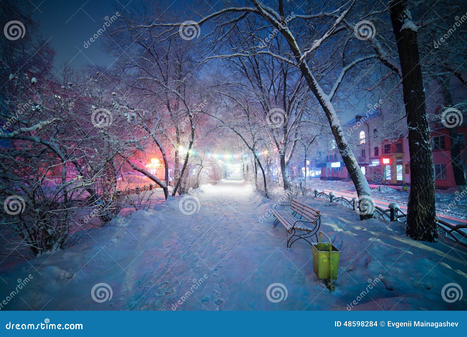 Winter alley stock photo. Image of january, quiet, atmosphere - 48598284