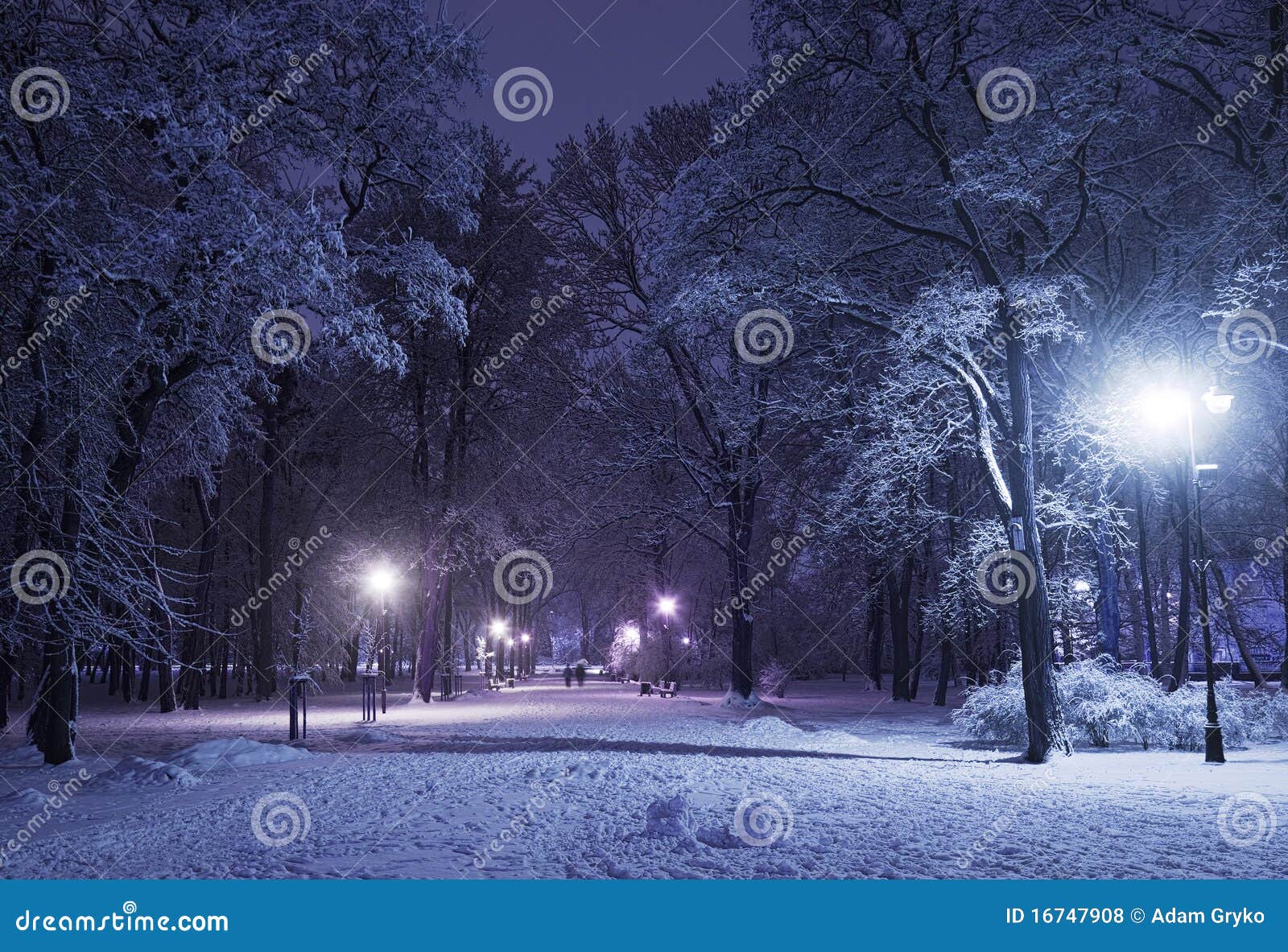 Winter alley at night stock photo. Image of illuminate - 16747908