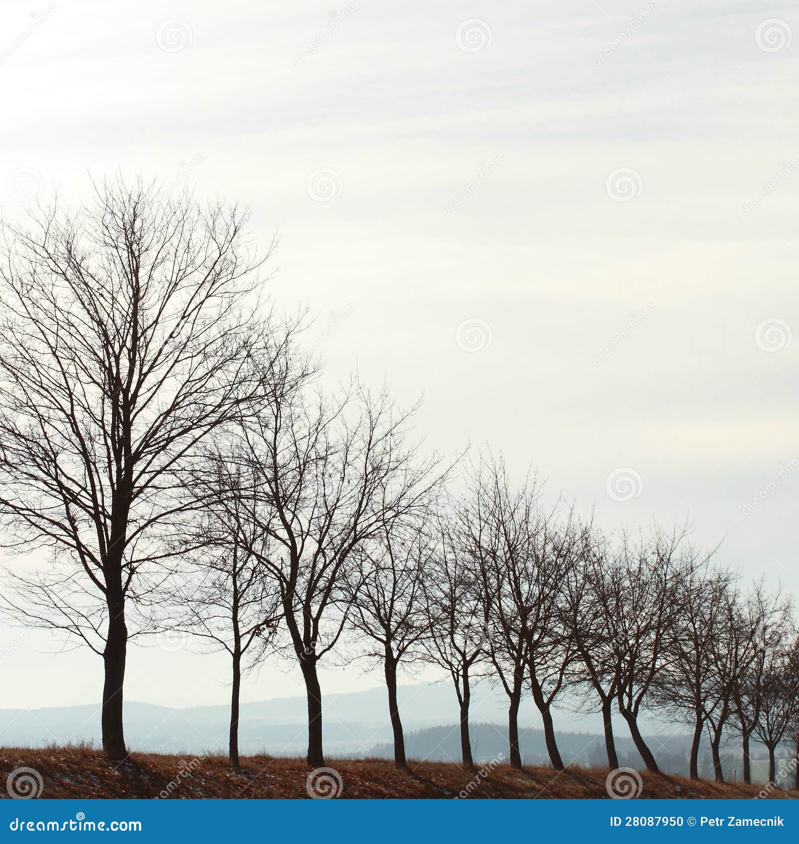 Winter alley without snow stock photo. Image of winter - 28087950