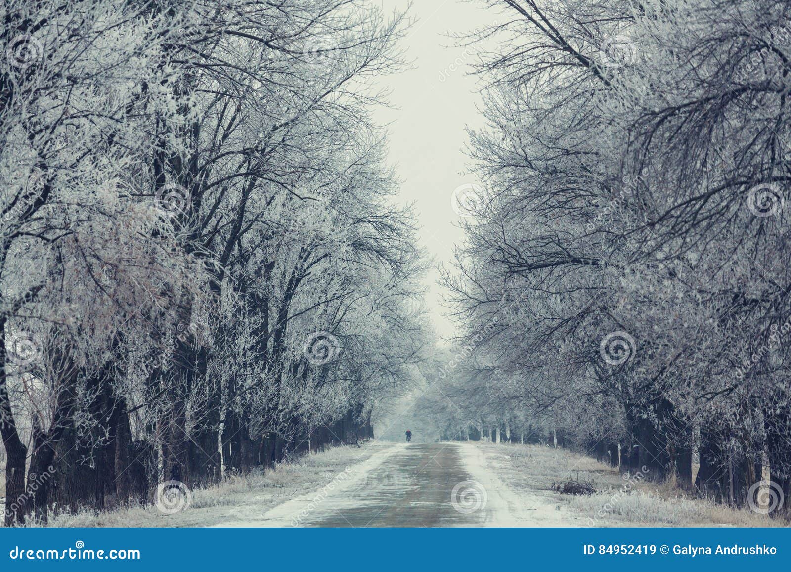 Winter alley stock image. Image of january, outdoor, road - 84952419