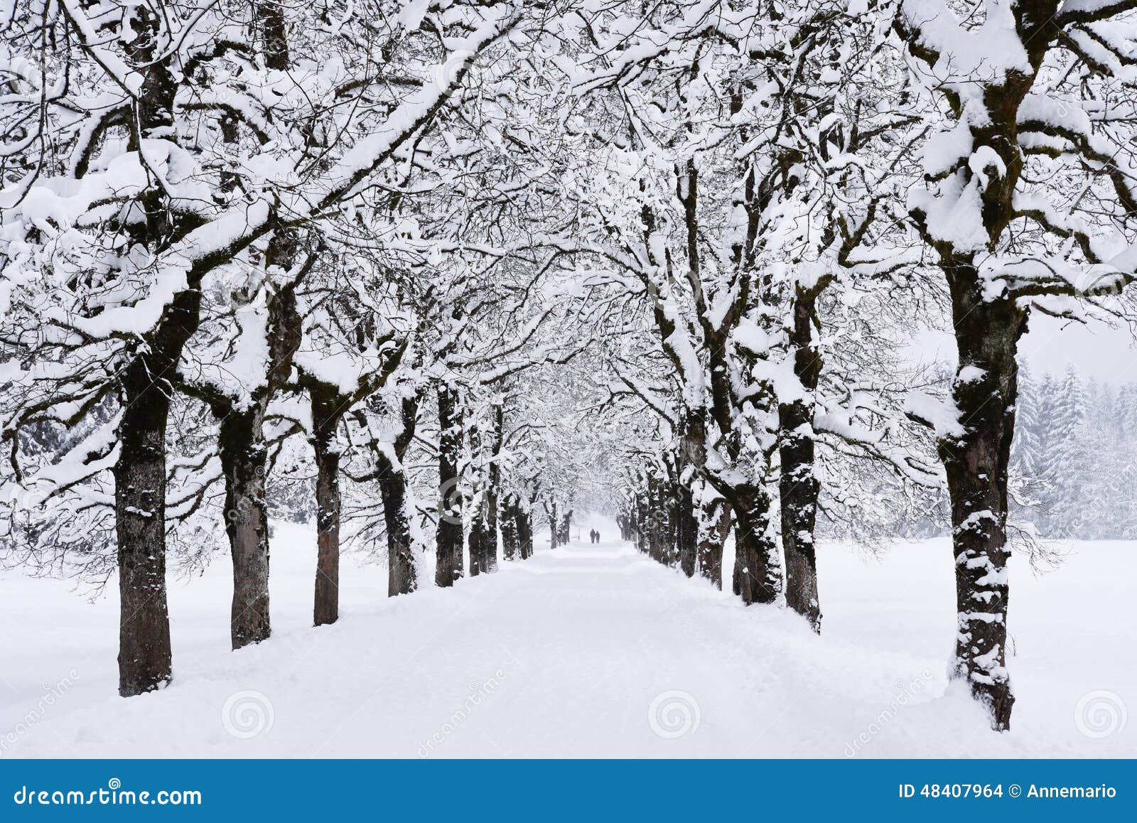 Narrowing Lines Stock Photos - Free & Royalty-Free Stock Photos from ...