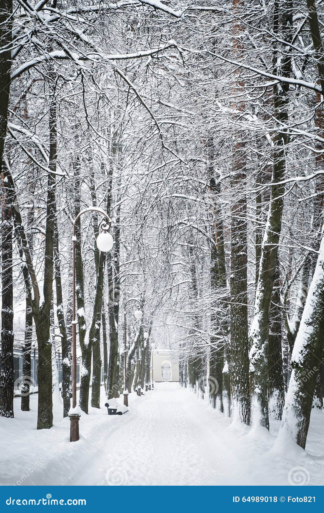 Winter alley stock photo. Image of landscape, climate - 64989018