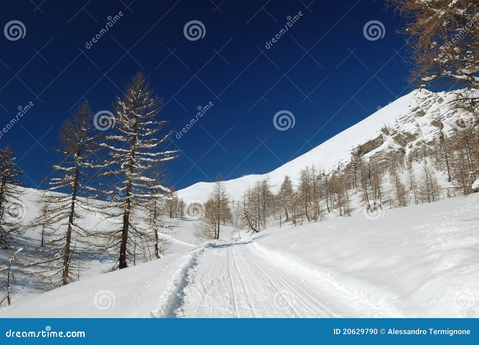Winter alpine landscape stock photo. Image of alps, beautiful - 20629790