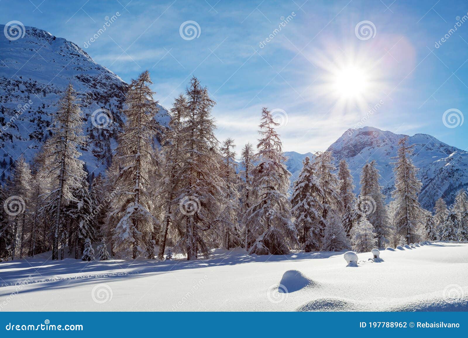 Winter Alpine landscape stock photo. Image of alps, frost - 197788962