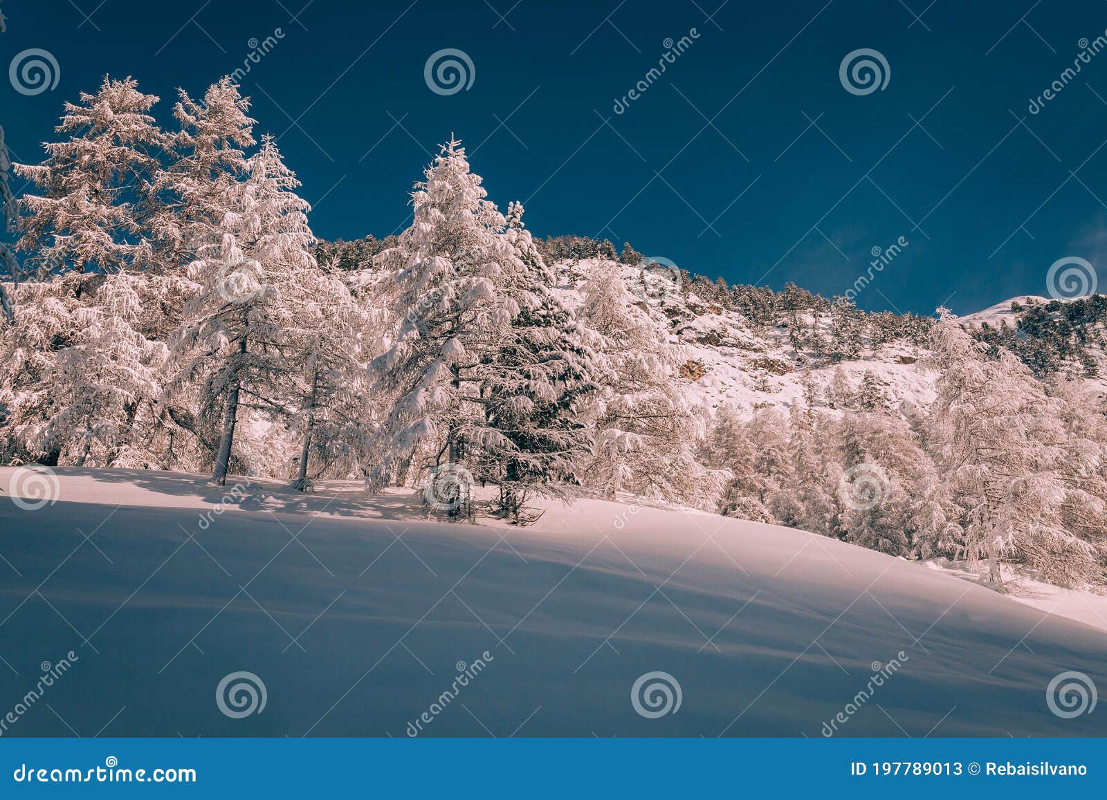 Winter Alpine landscape stock image. Image of blue, holiday - 197789013