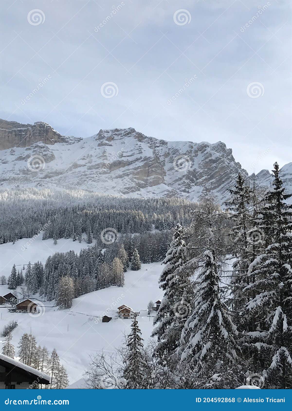 Winter alpine landscape stock photo. Image of mountains - 204592868