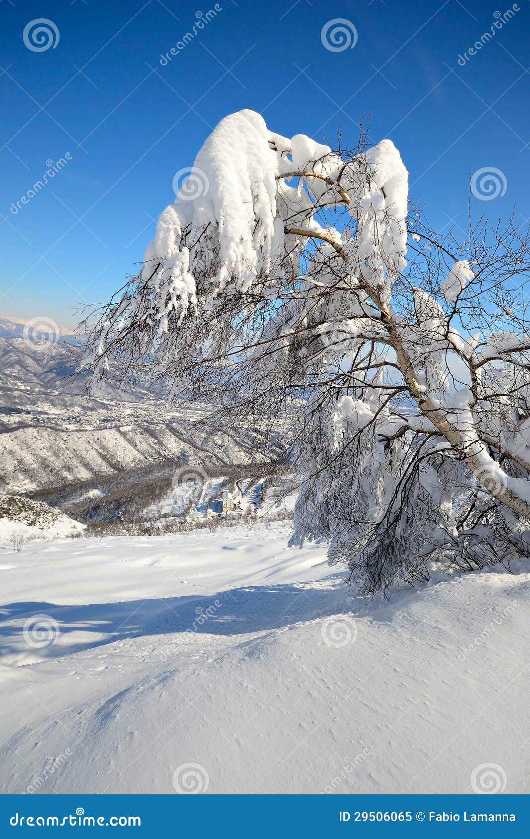 Winter alpine scene stock image. Image of angle, purity - 29506065