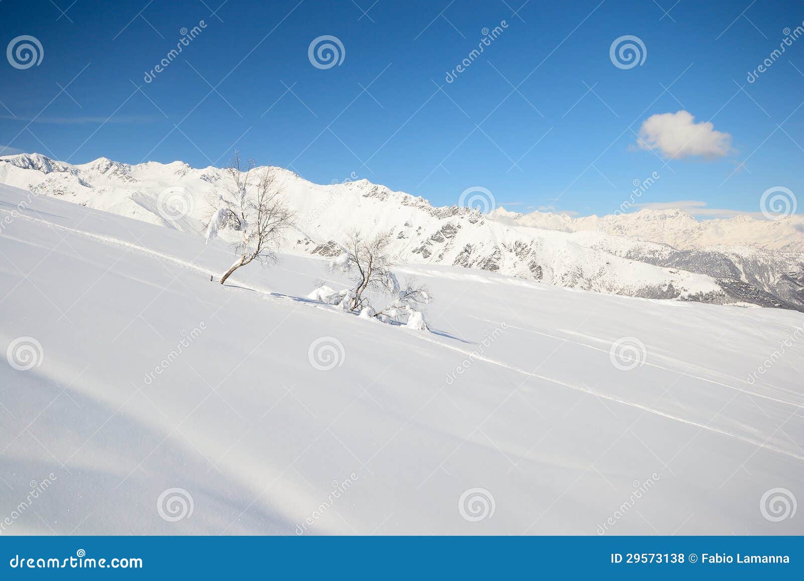 Winter alpine scene stock photo. Image of italy, birch - 29573138