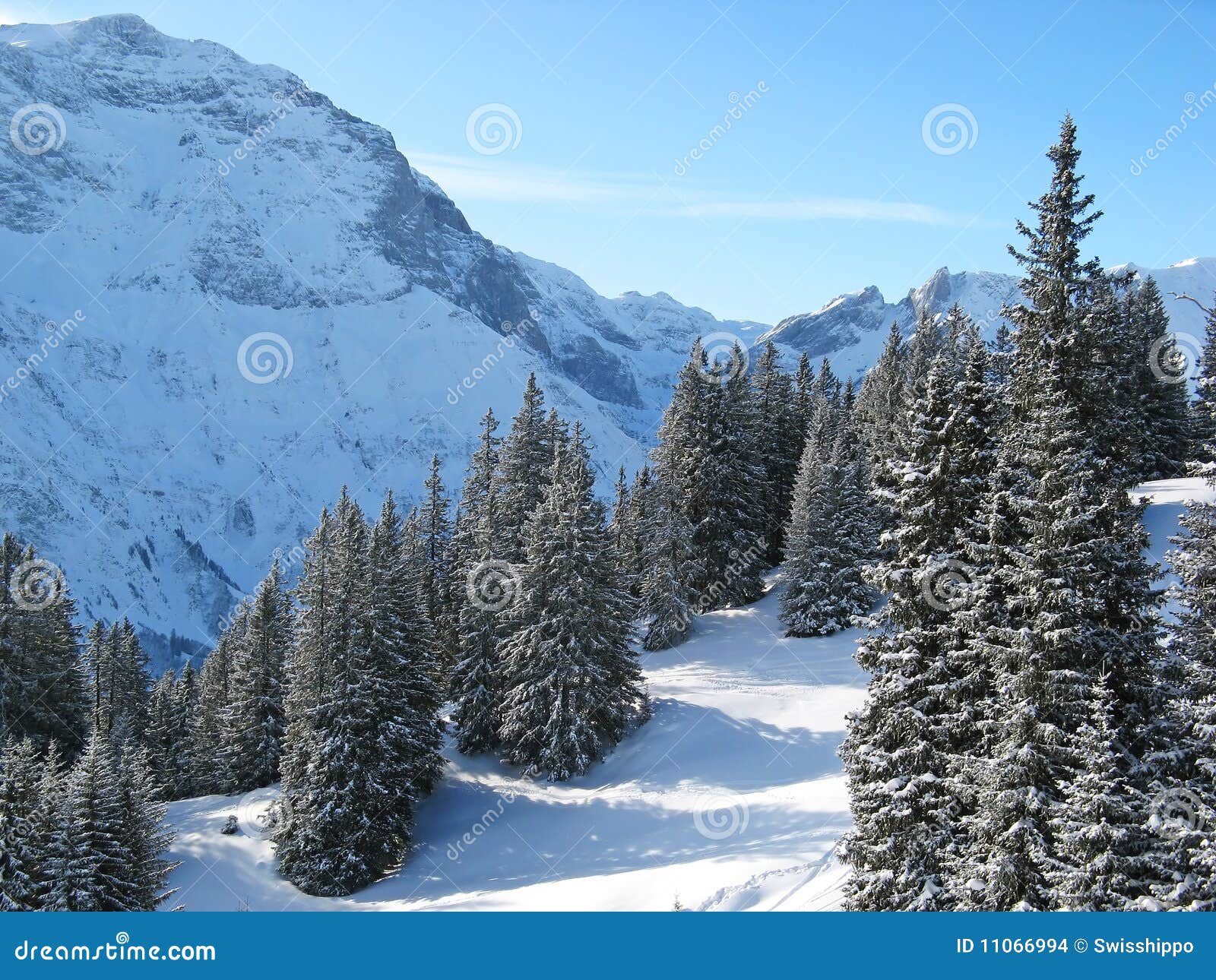 Winter in the alps stock photo. Image of sledding, beautiful - 11066994