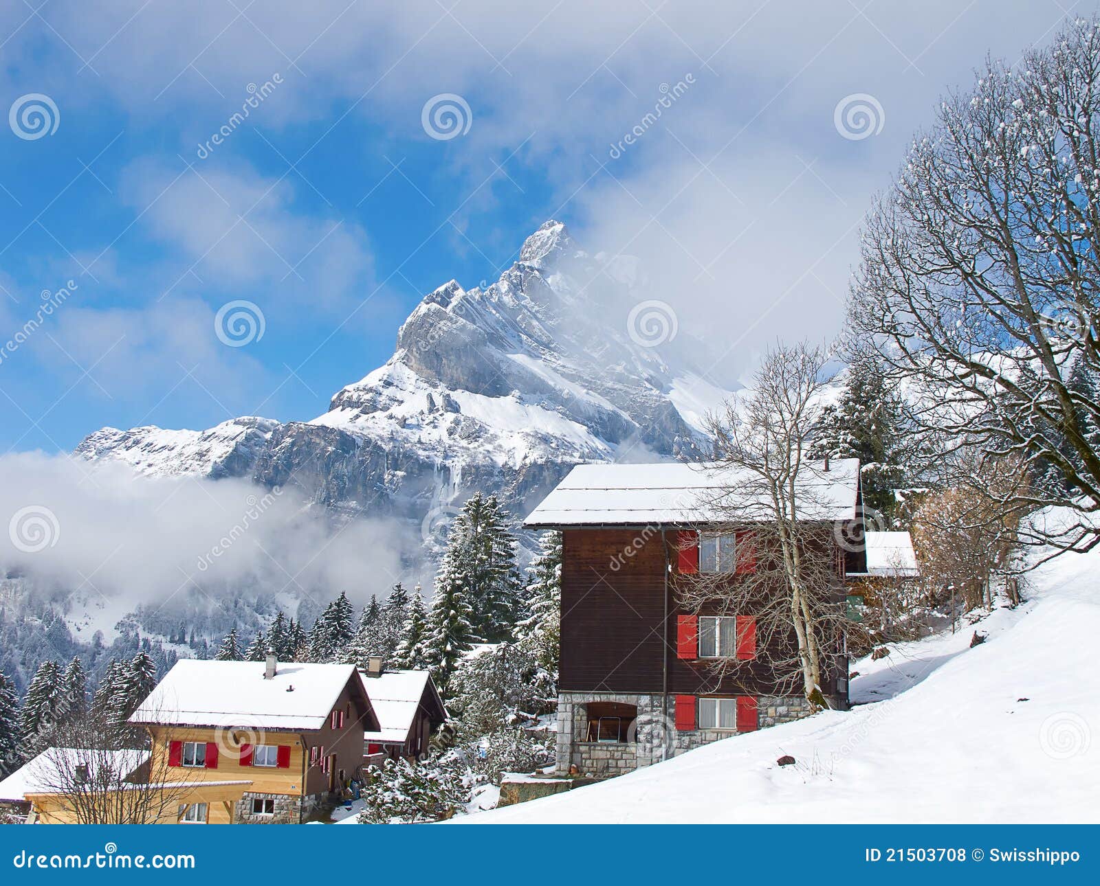 Winter in alps stock photo. Image of clean, beauty, ecology - 21503708