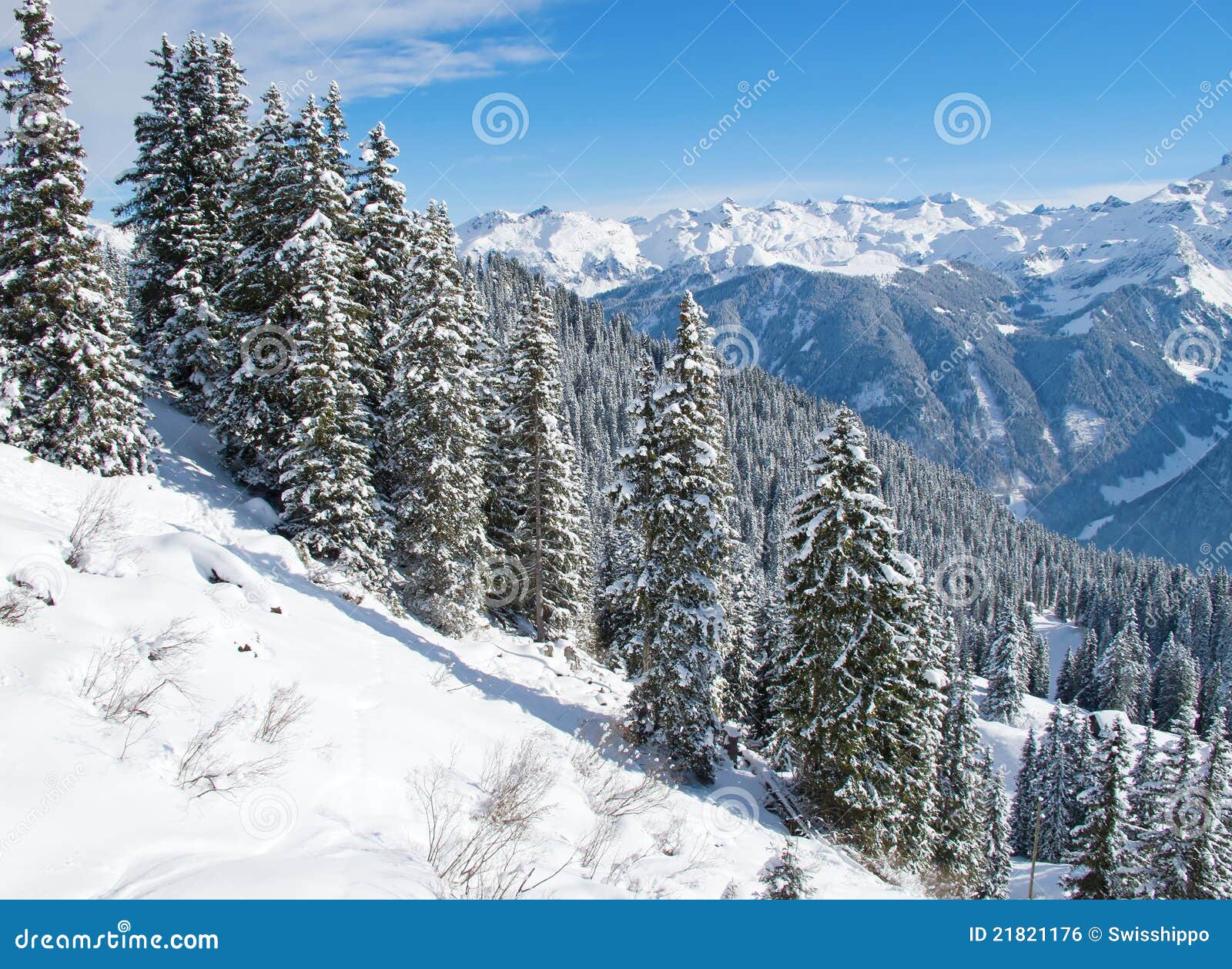 Winter in the alps stock photo. Image of alps, powder - 21821176