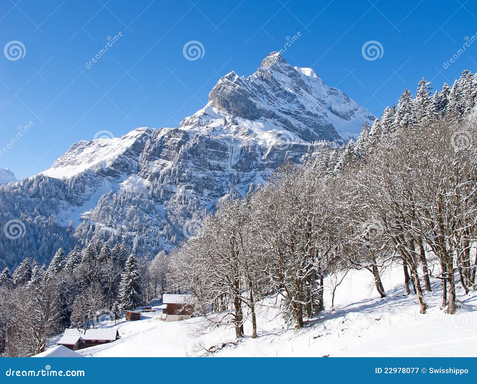 Winter in alps stock image. Image of luxury, peace, europe - 22978077
