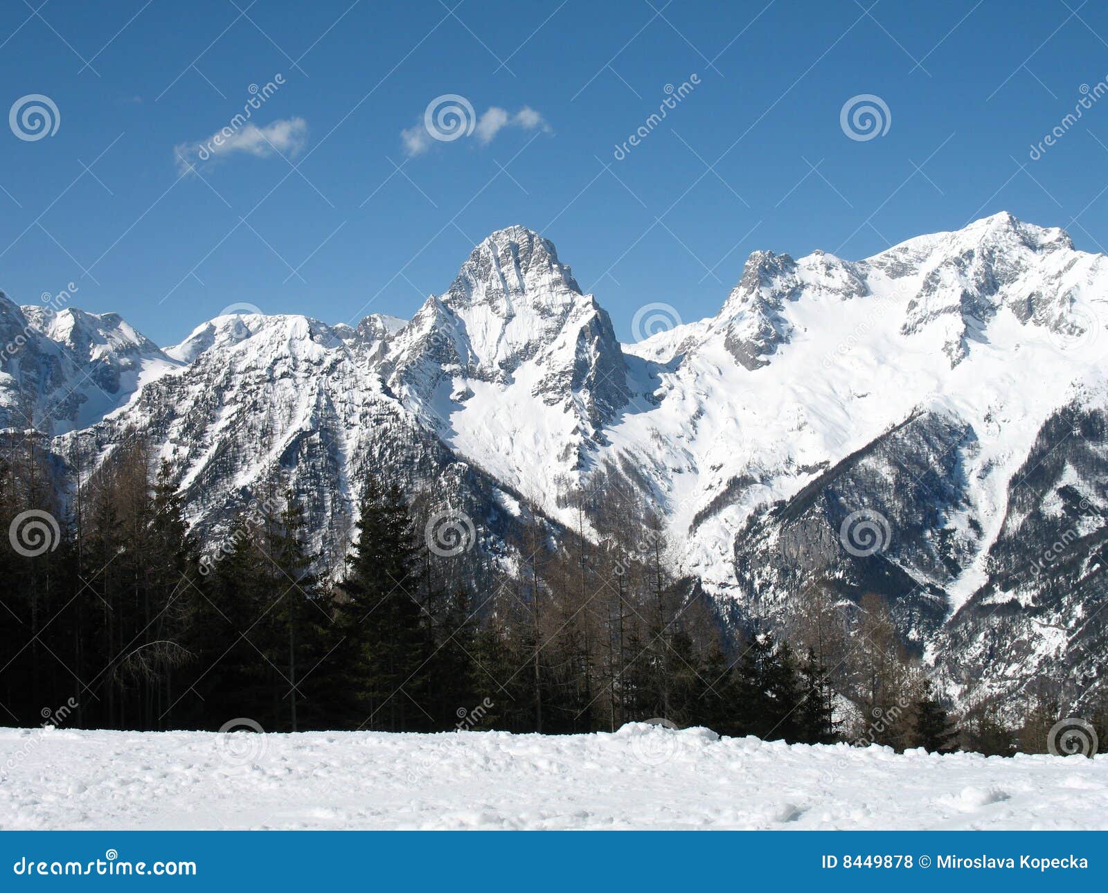 Winter Alps stock photo. Image of mountains, woodland - 8449878