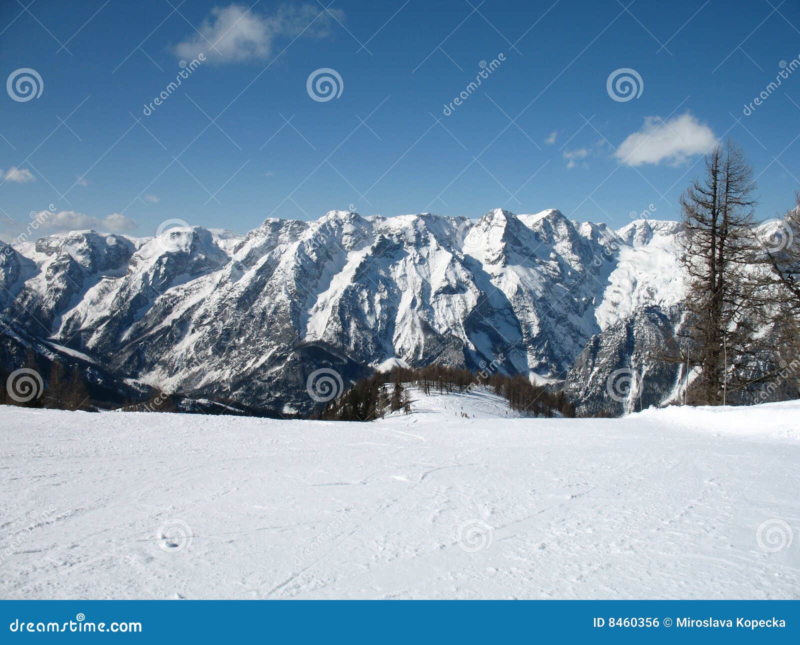 Winter Alps stock photo. Image of hill, rockies, holiday - 8460356