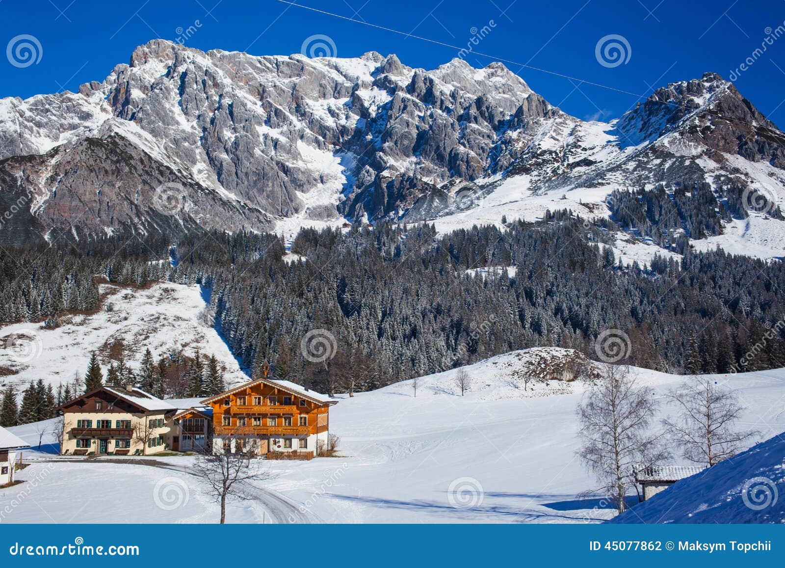 Winter in the Alps stock photo. Image of cold, forest - 45077862