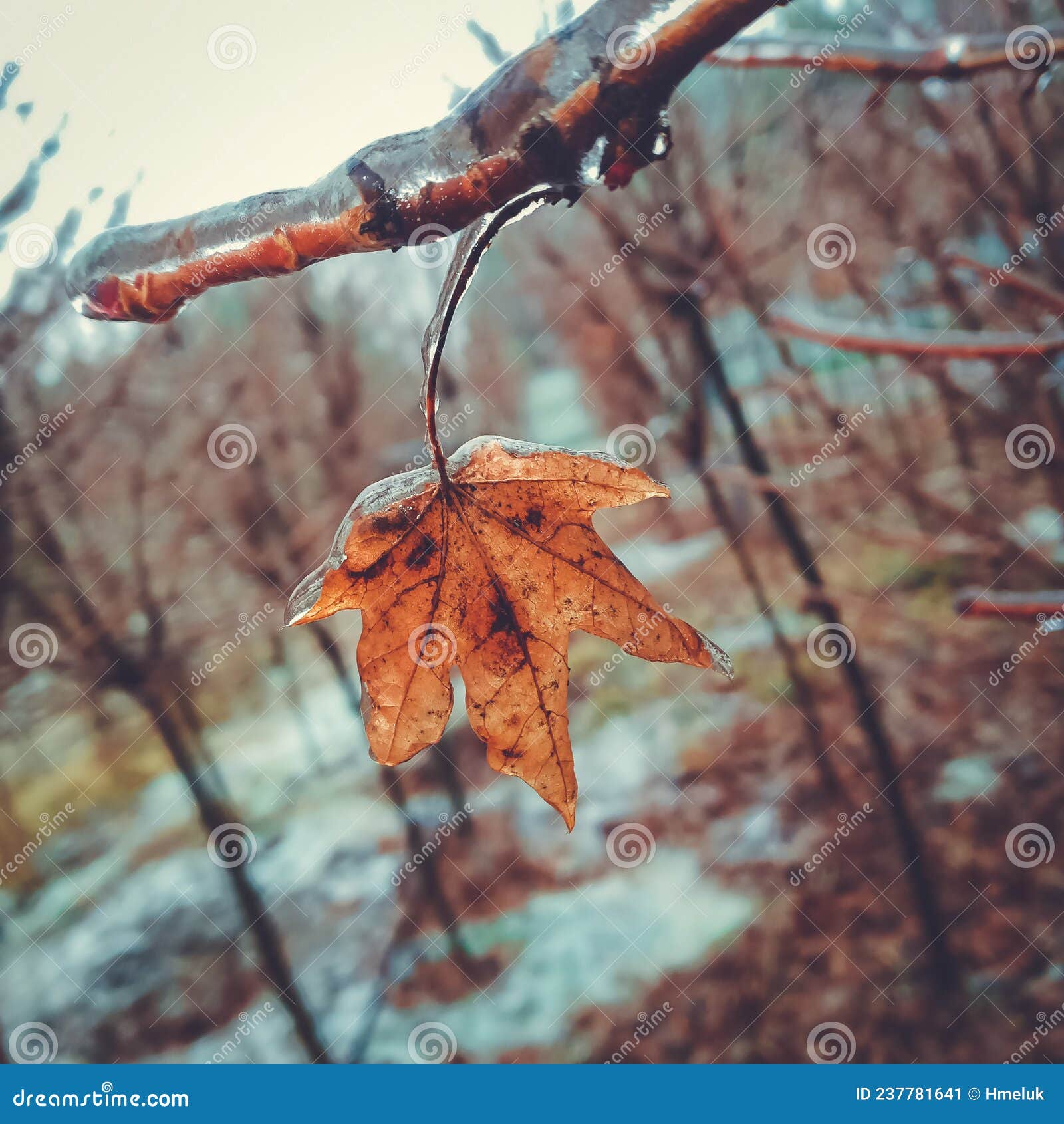 Winter Anomalous Natural Phenomenon Stock Image - Image of beauty ...
