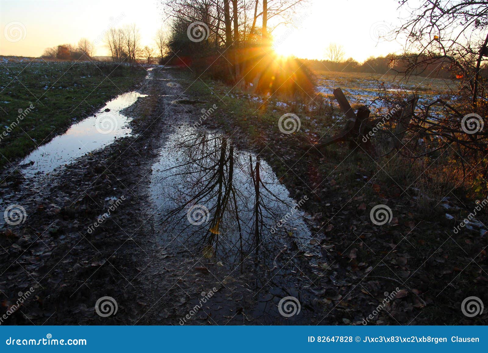 Winter Atmosphere in a Puddle Stock Photo - Image of november, sunlight ...