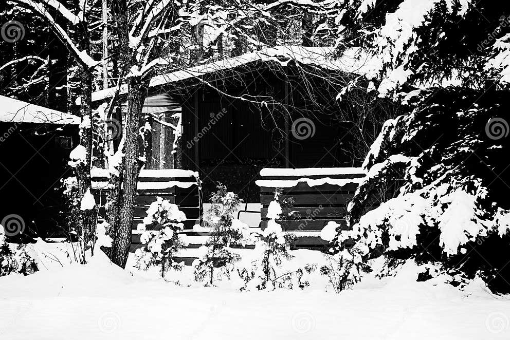 WINTER ATTACK stock photo. Image of forest, flurry, refrigerate - 302651294