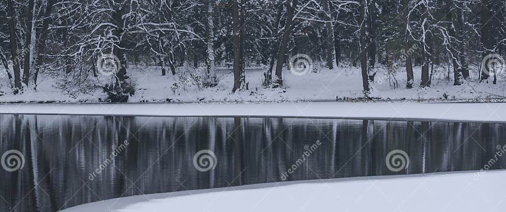 WINTER ATTACK stock photo. Image of white, phenomenon - 302651720