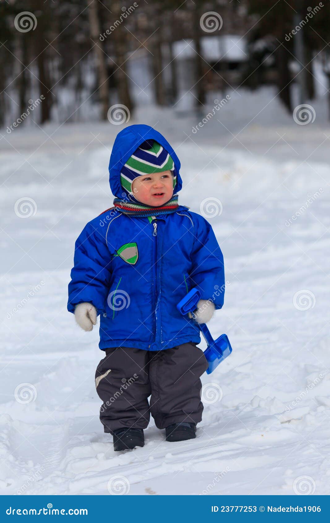 Winter baby stock image. Image of forest, december, country - 23777253