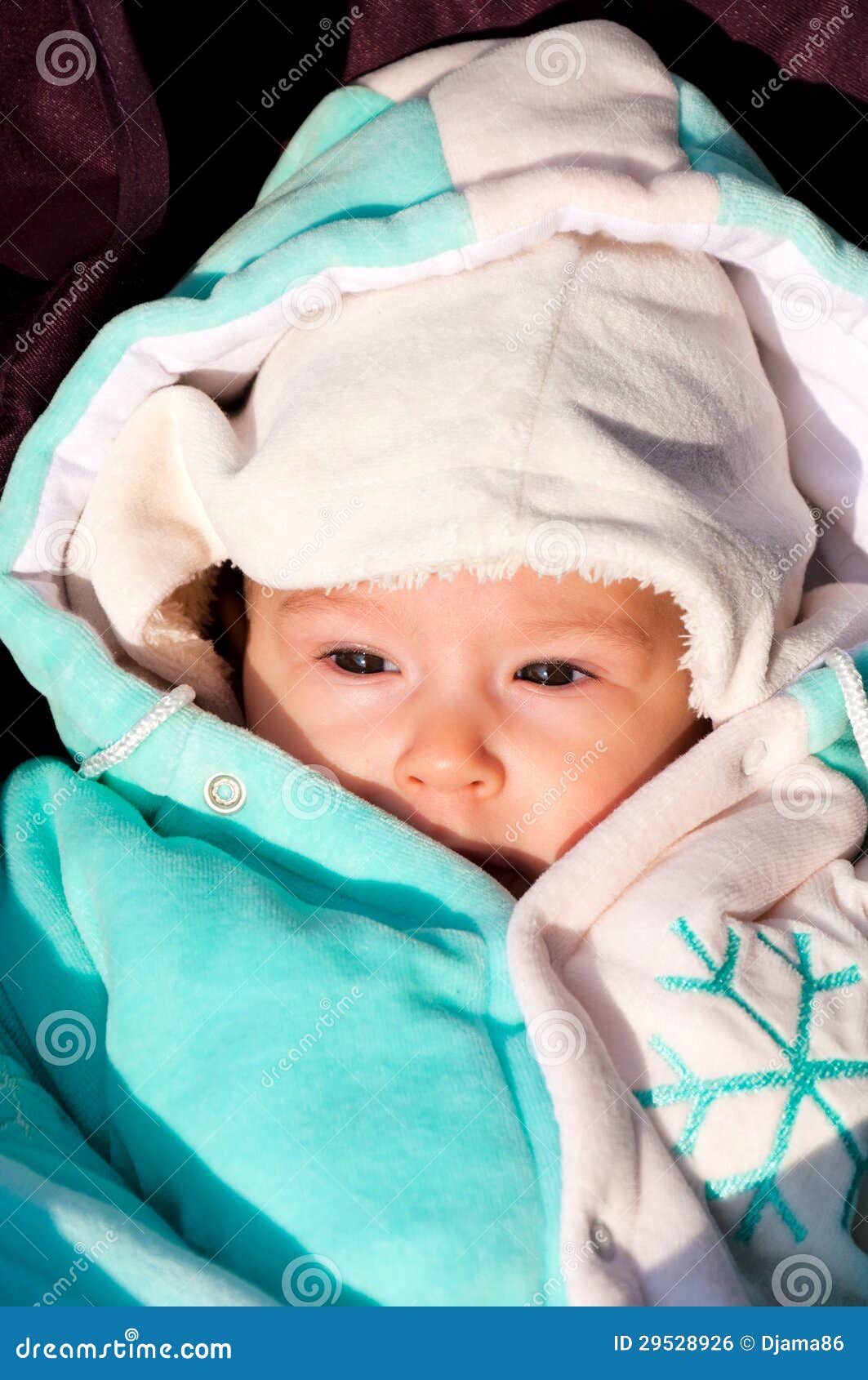 Winter baby stock photo. Image of healthy, cold, child - 29528926
