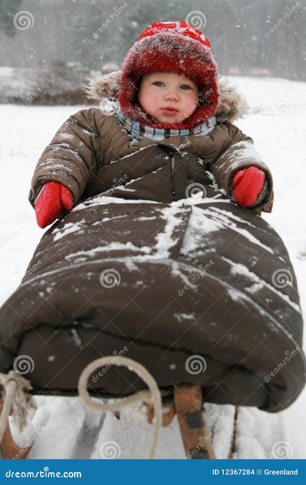 Winter baby on sled stock photo. Image of outside, people - 12367284