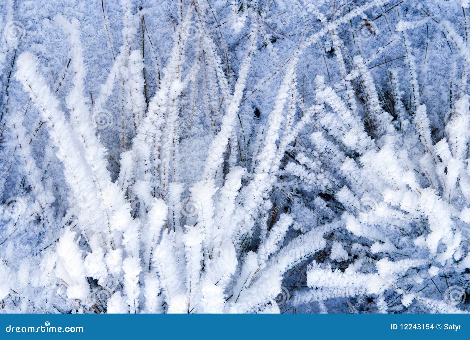 Winter Background with Natural White Frost and Ice Stock Photo - Image ...