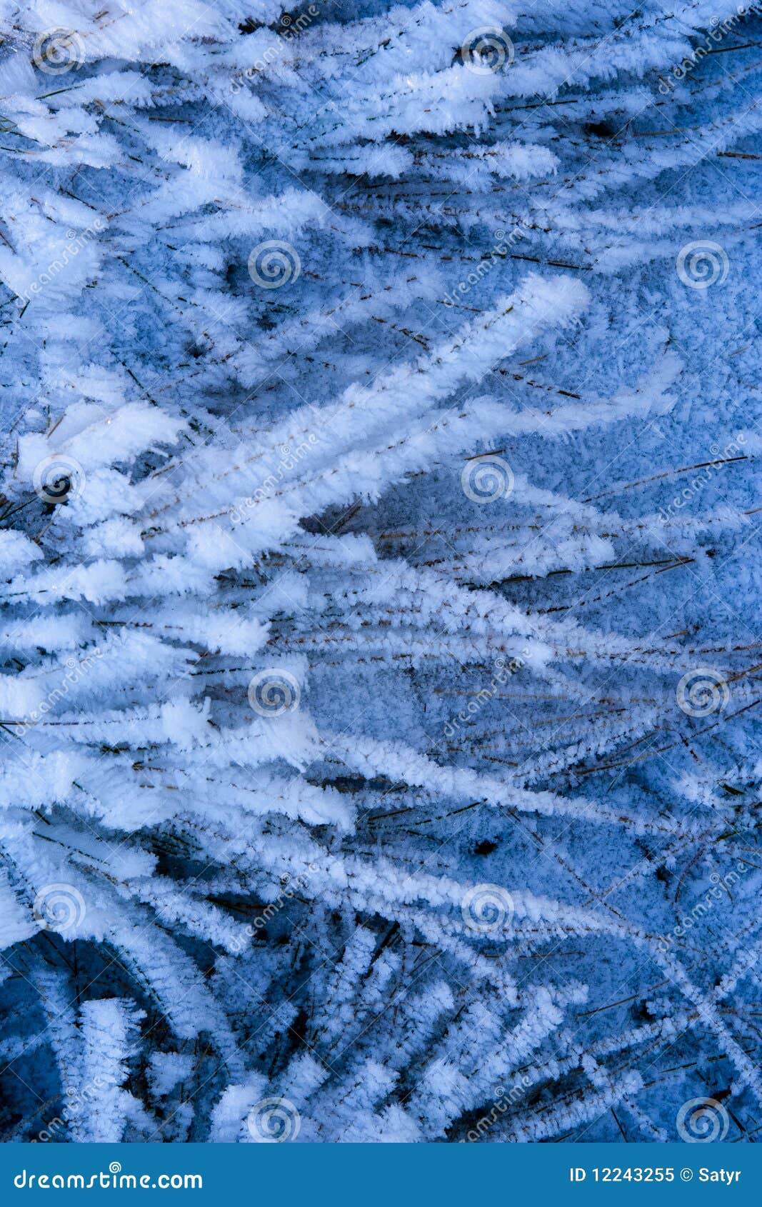 Winter Background with Natural White Frost and Ice Stock Image - Image ...