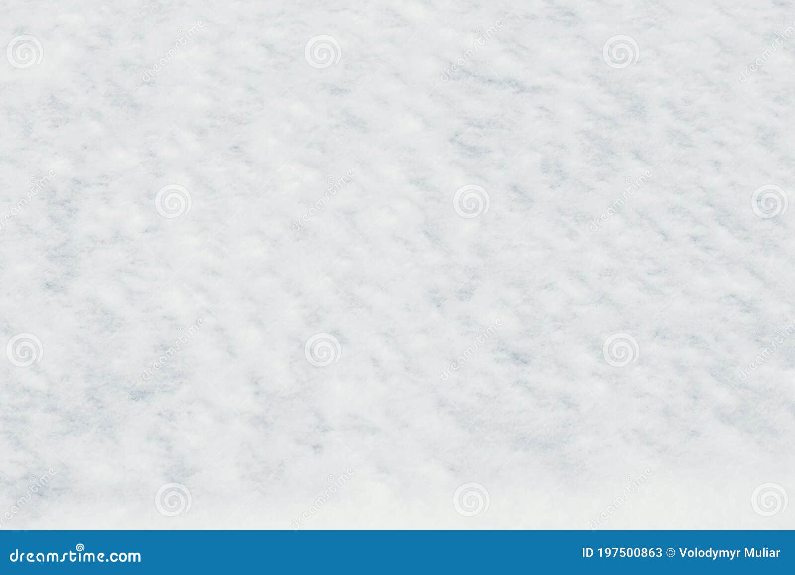 Winter Background with Pure White Snow on the Ground Stock Image ...
