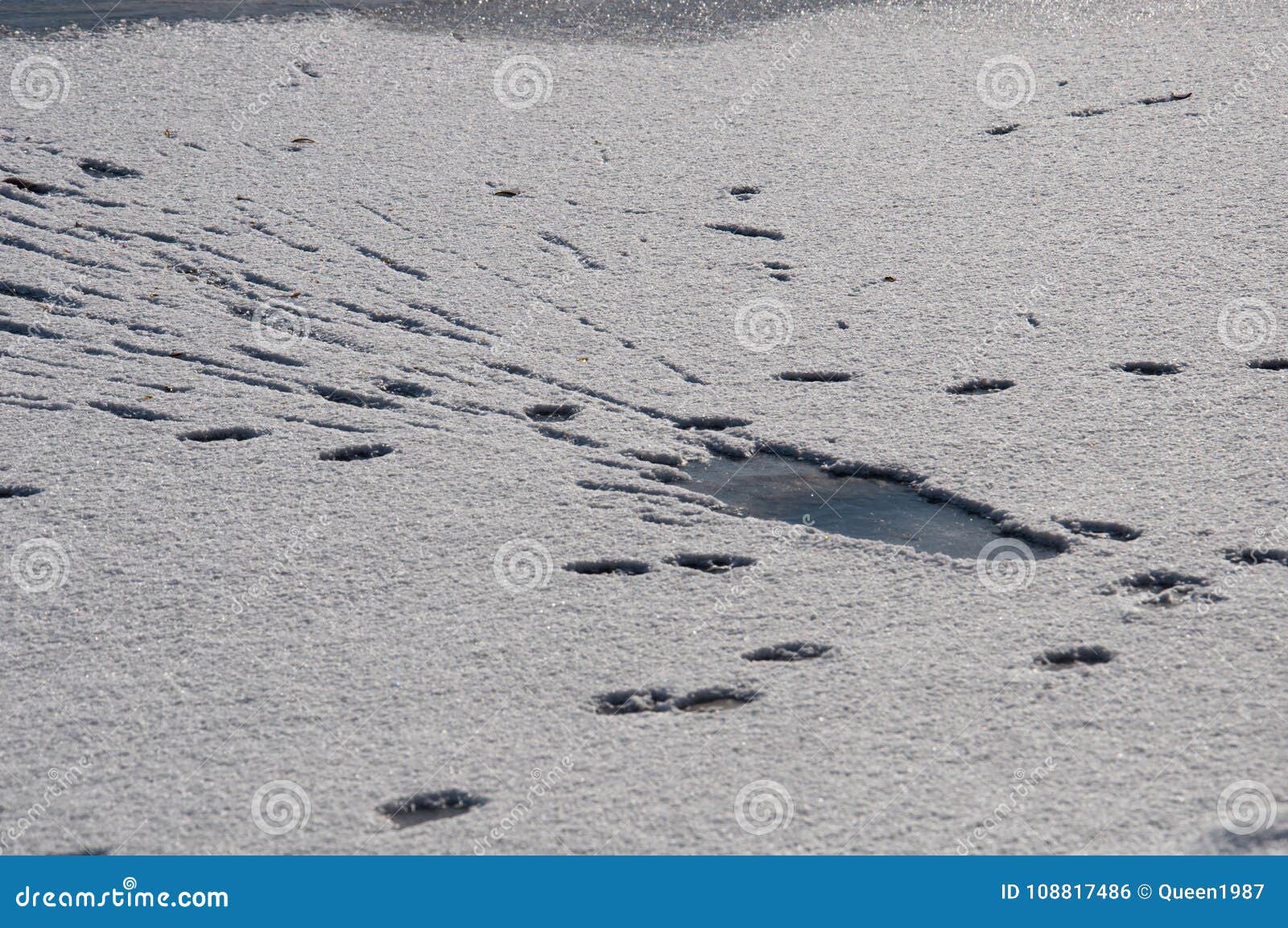 Winter Background of Snow and Broken Ice Stock Photo - Image of closeup ...