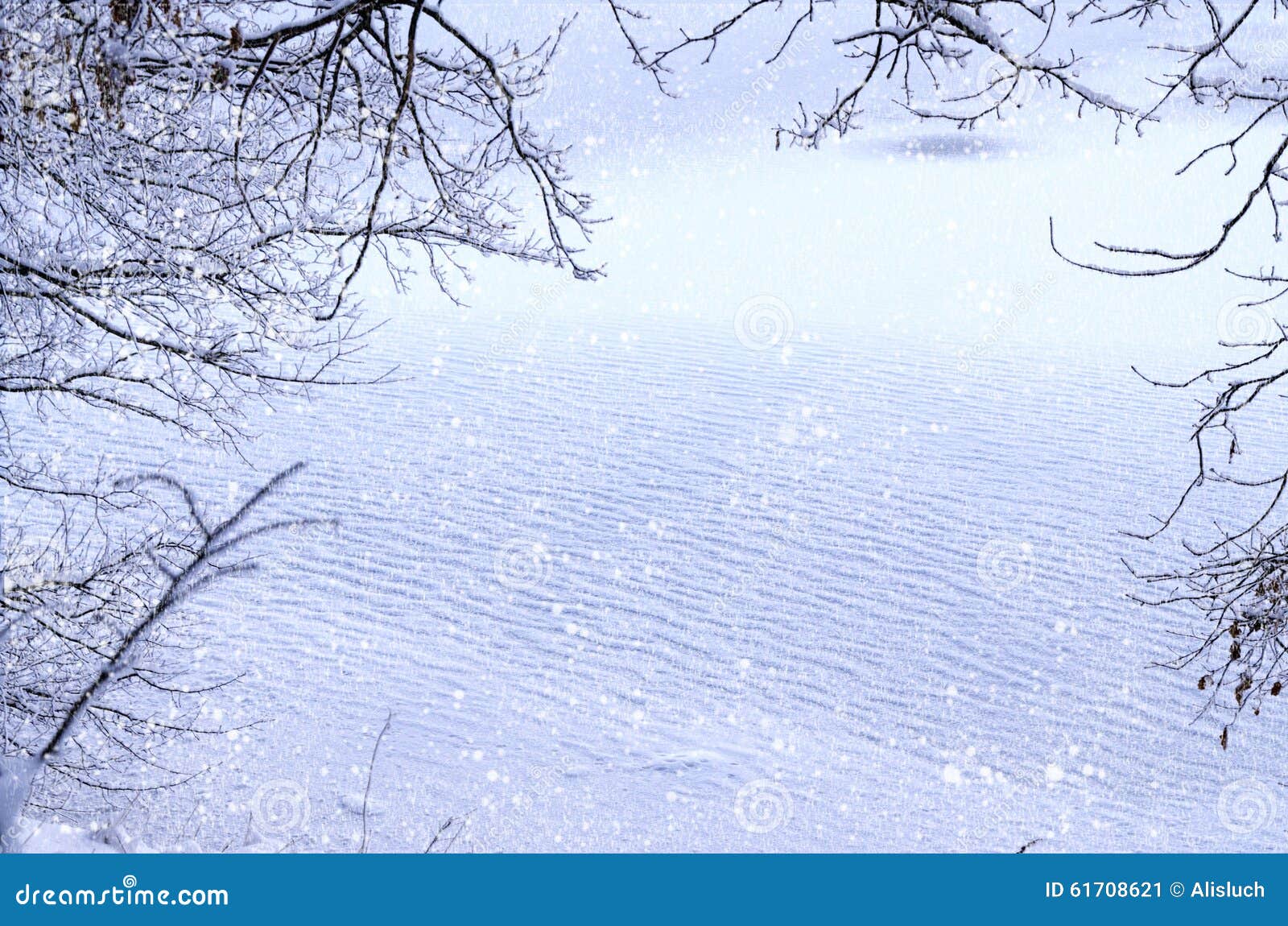 Winter Background. View through the Frame of the Snow-covered B Stock ...