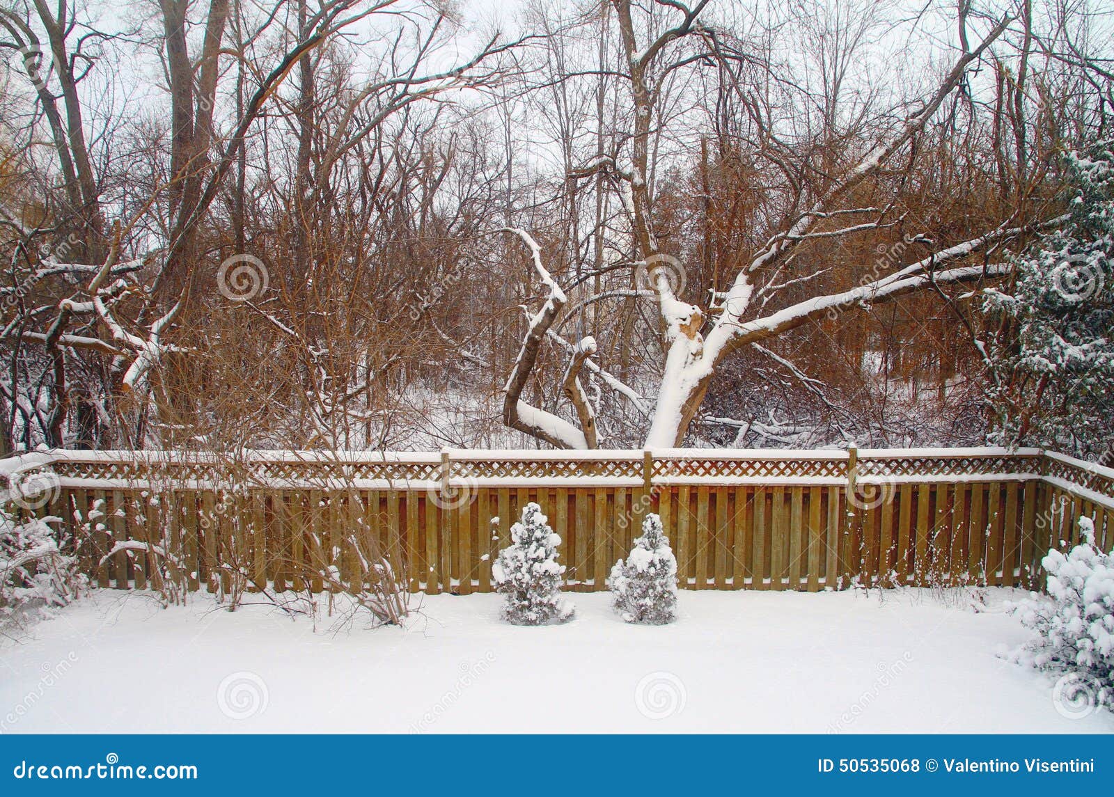 Winter Backyard stock photo. Image of fence, canadian - 50535068