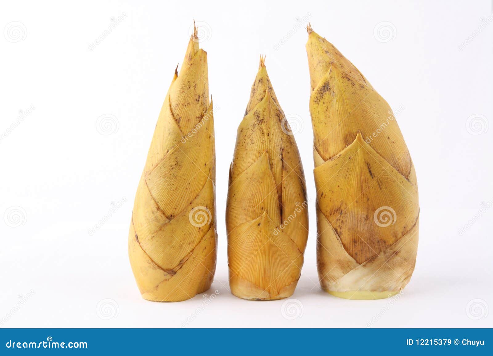 Bamboo Shoots Royalty-Free Stock Photo | CartoonDealer.com #57867987