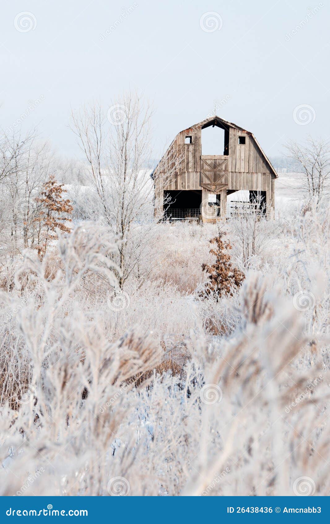 Winter Barn stock photo. Image of barnyard, christmas - 26438436