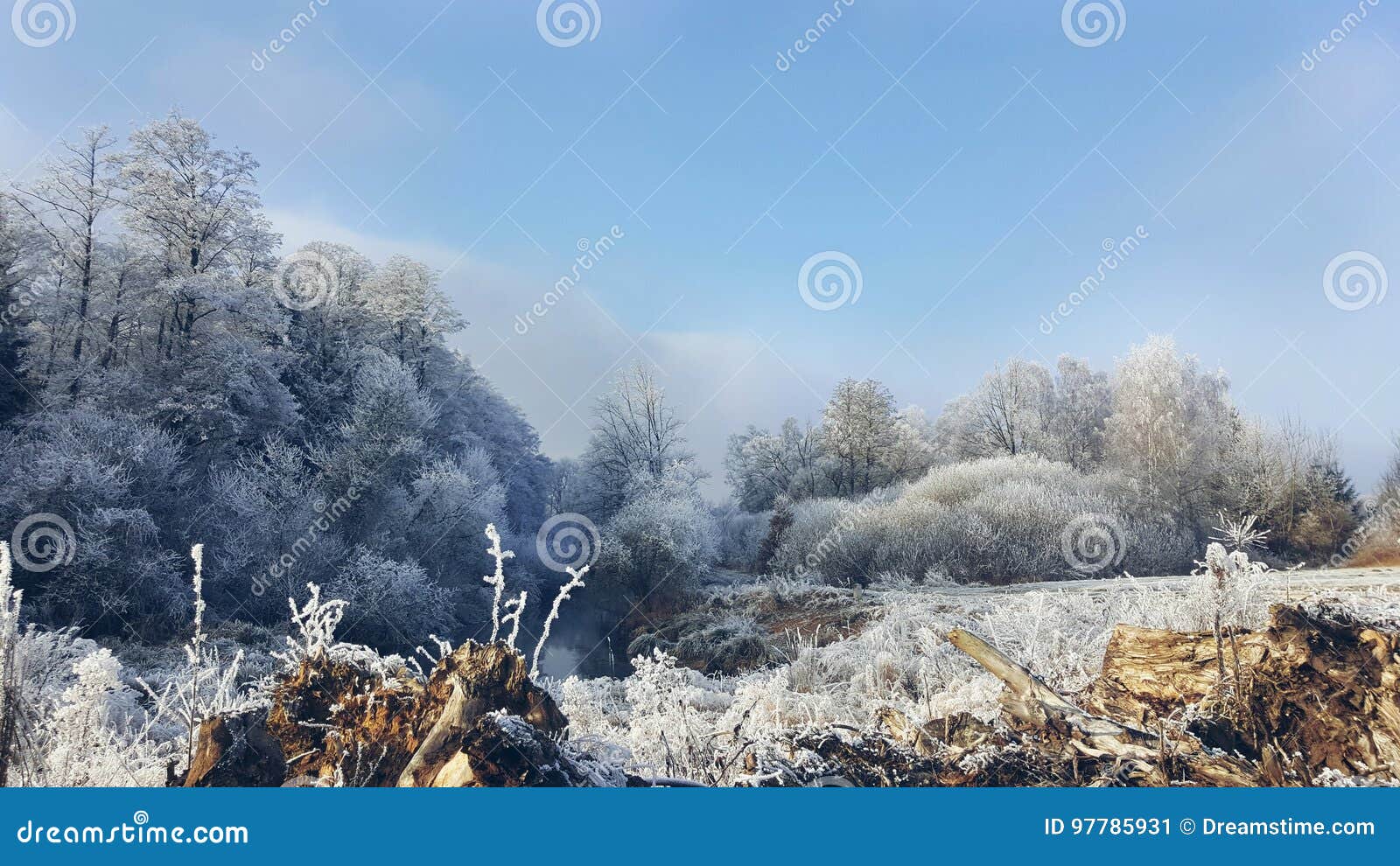 Winter stock image. Image of cold, snowy, winter, beautiful - 97785931