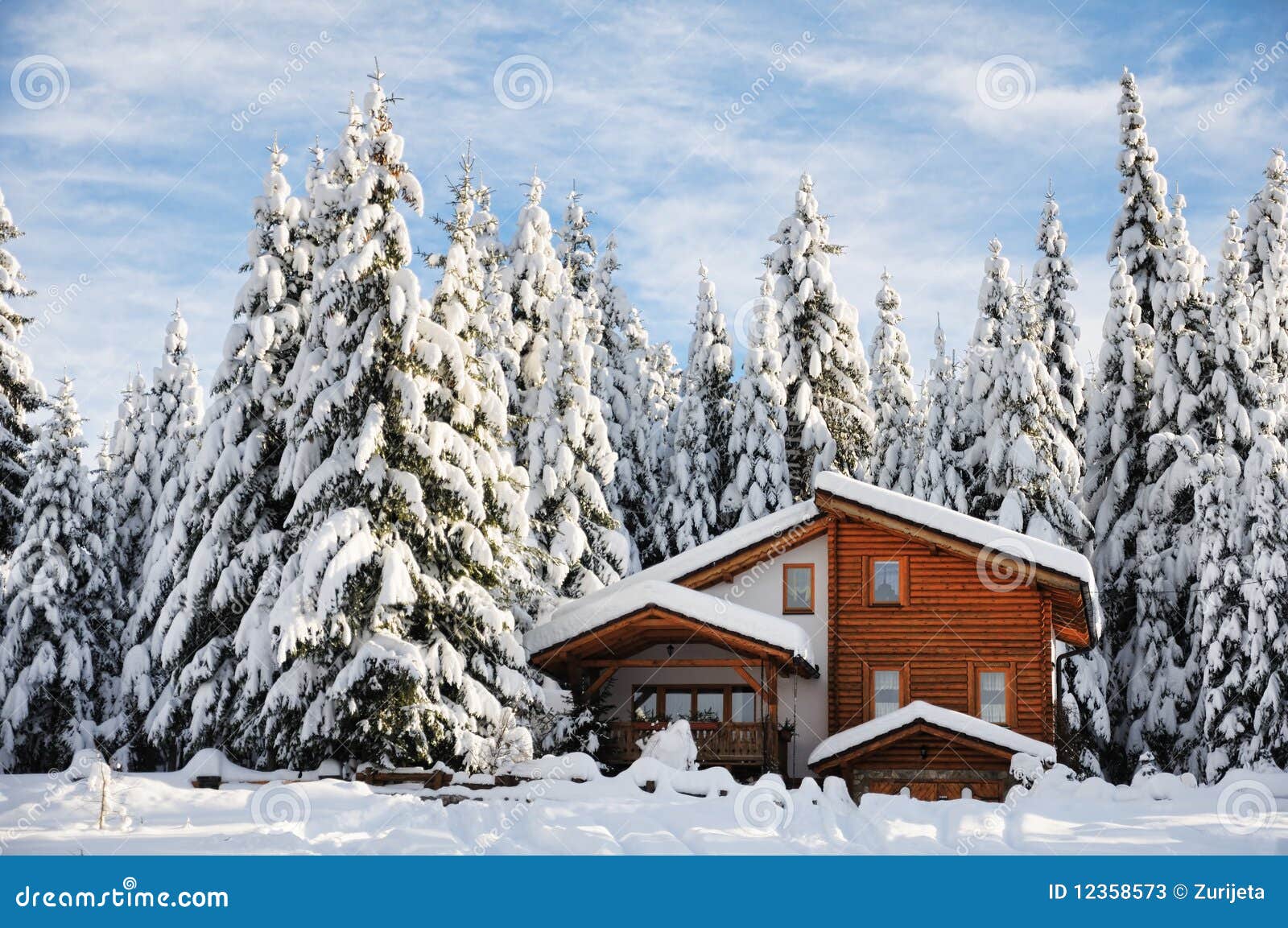 Winter beautiful scene stock image. Image of rural, moon - 12358573