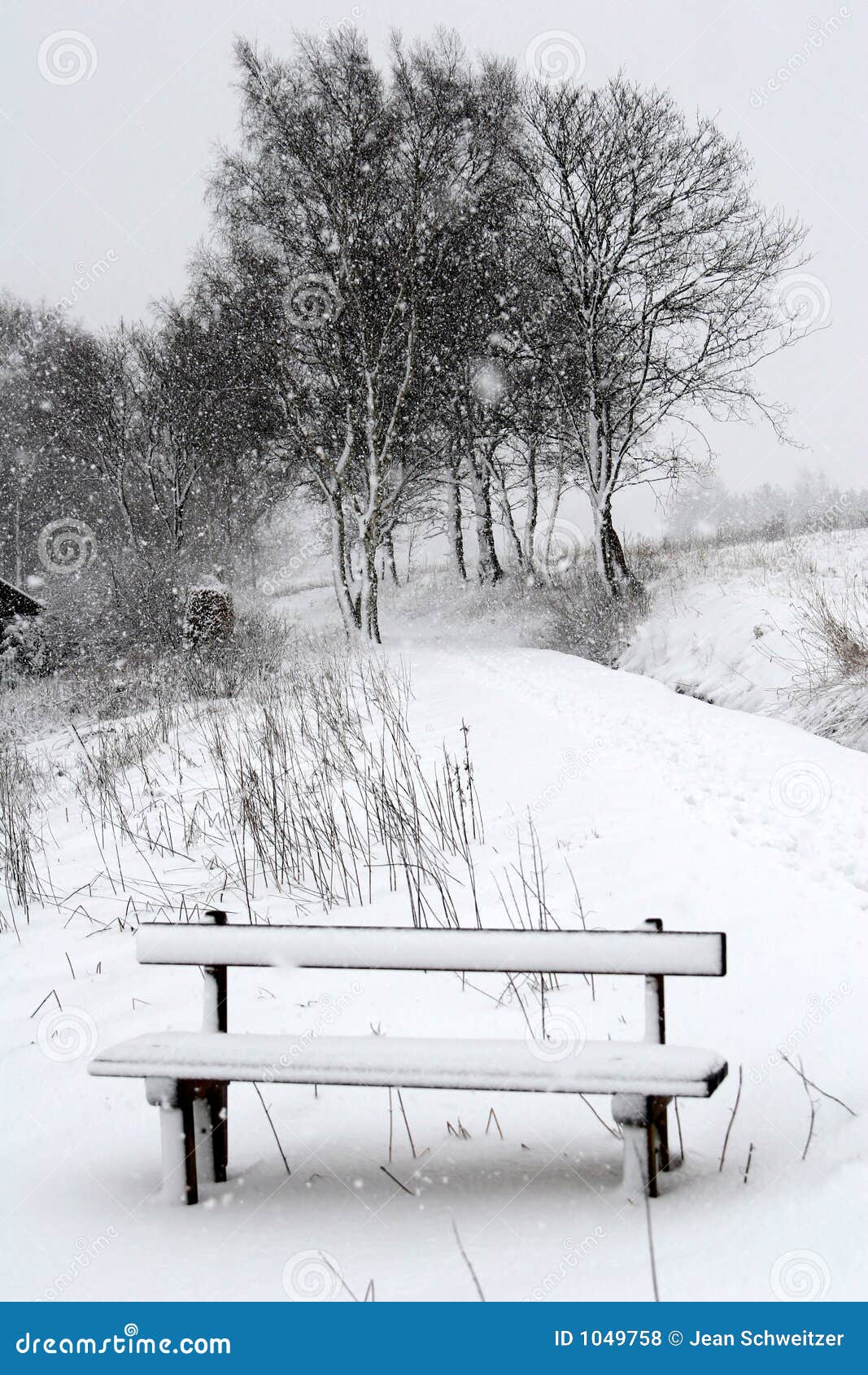 Winter Bench Picture. Image: 1049758