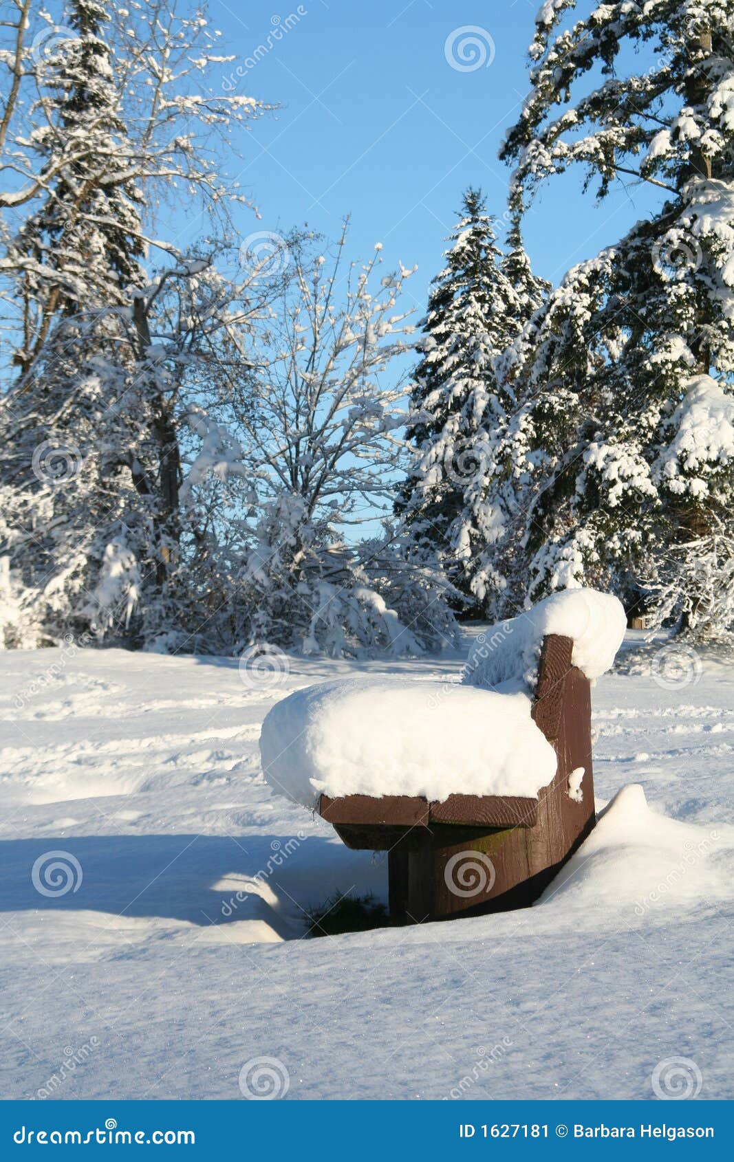 Winter bench stock image. Image of covered, serene, greenery - 1627181
