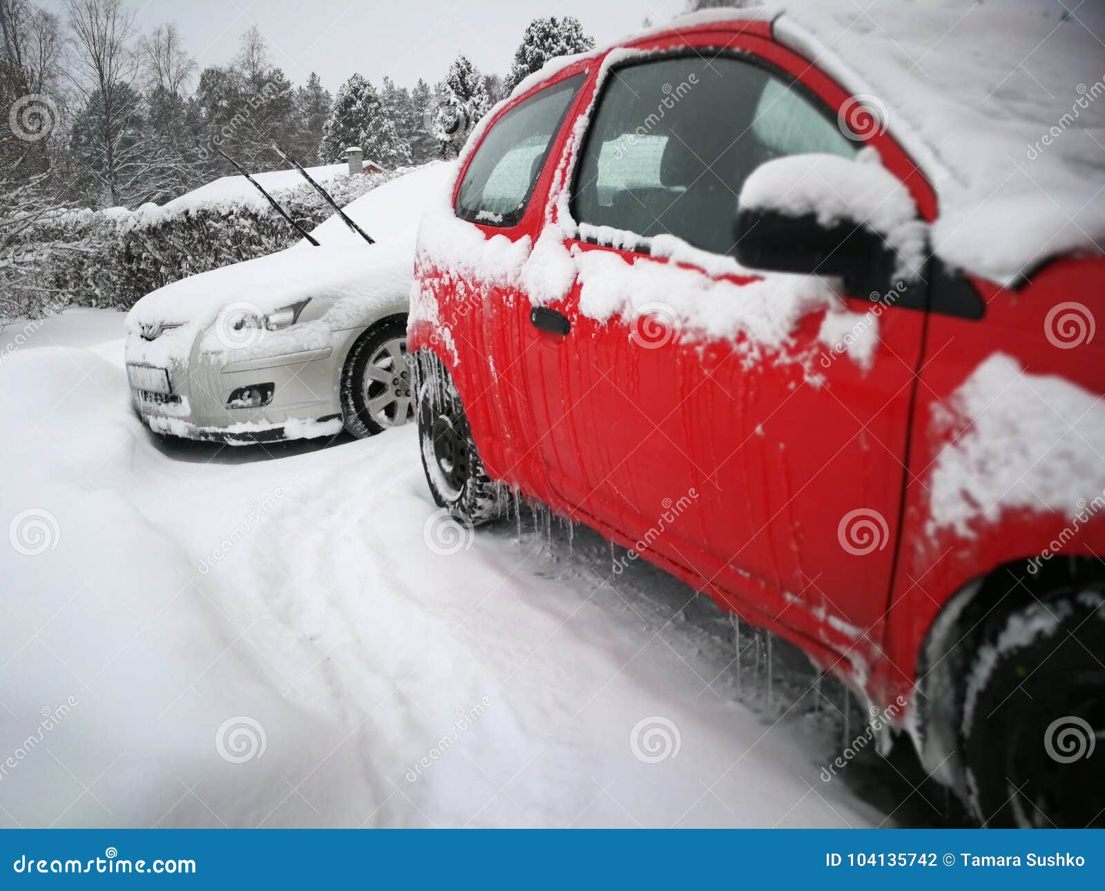 Winter stock photo. Image of windshield, wheel, food - 104135742